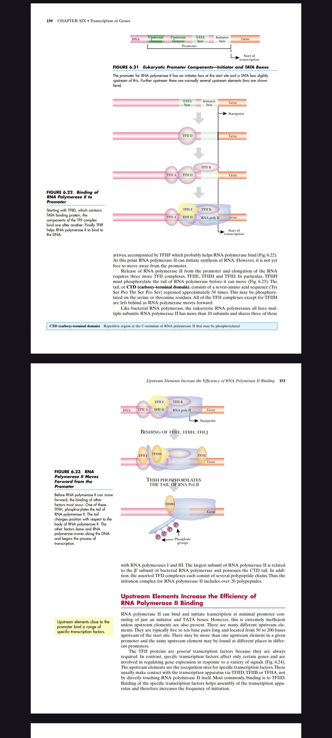Solved 150 ﻿CHAPTER SIX * ﻿Transcription of Genes FIGURE | Chegg.com