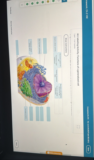 mework: Ch. 2 ﻿HWArt-labeling Activity: Functions of | Chegg.com