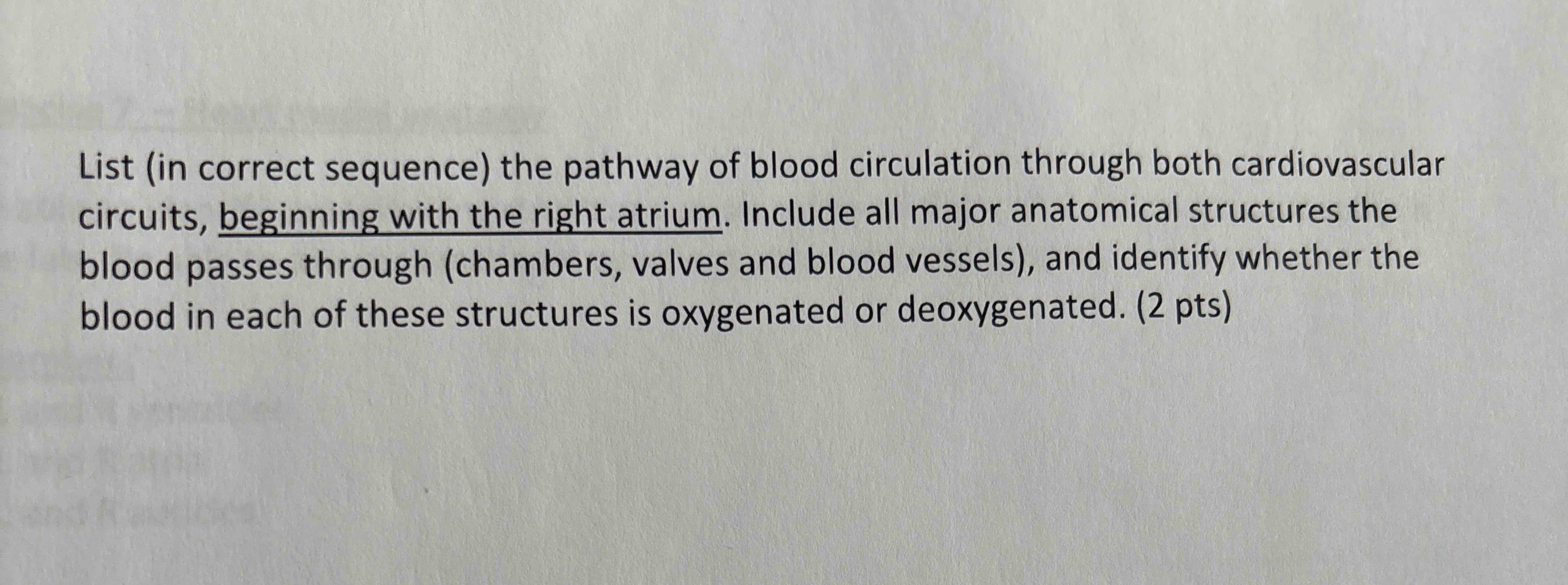 Solved List (in correct sequence) ﻿the pathway of blood | Chegg.com