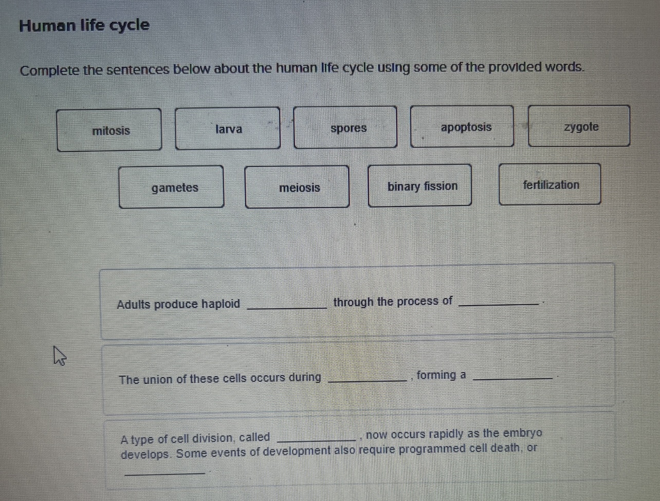 Solved Human life cycle Complete the sentences below about | Chegg.com