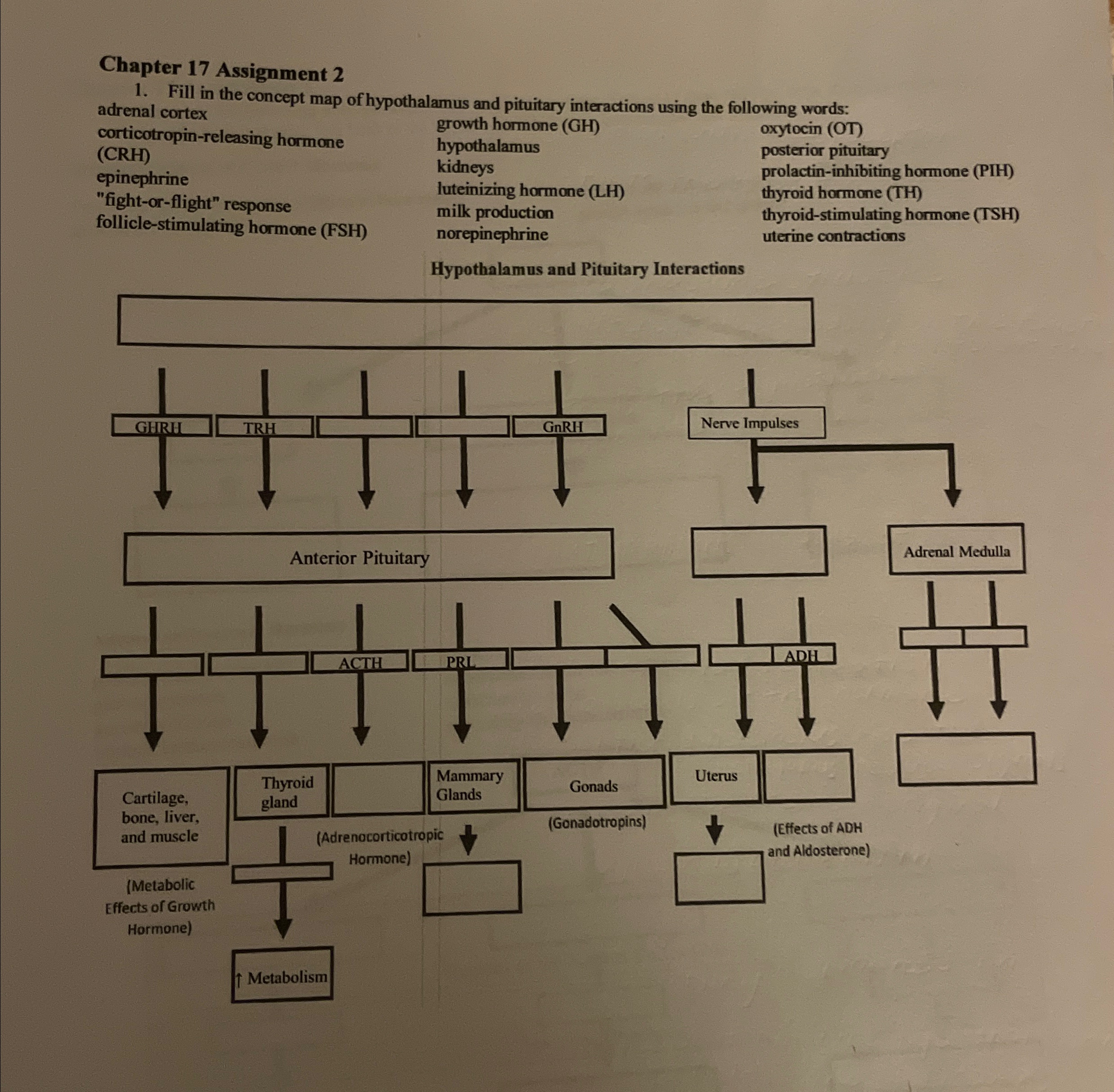 Solved Chapter 17 ﻿Assignment 2Fill in the concept map of | Chegg.com