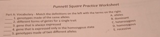 Solved Punnett Square Practice Worksheet Part A: Vocabulary | Chegg.com