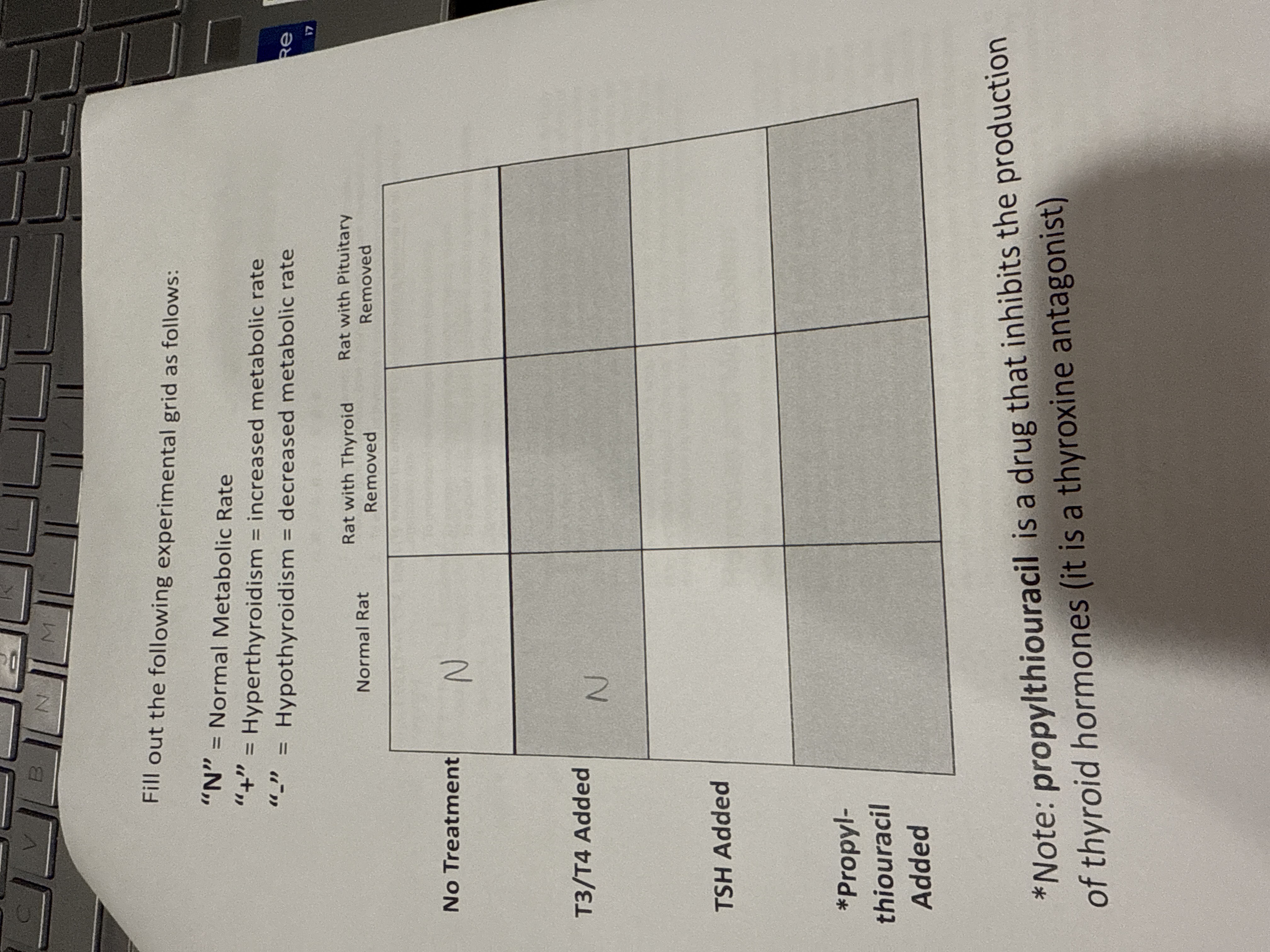 Solved Fill out the following experimental grid as follows: | Chegg.com
