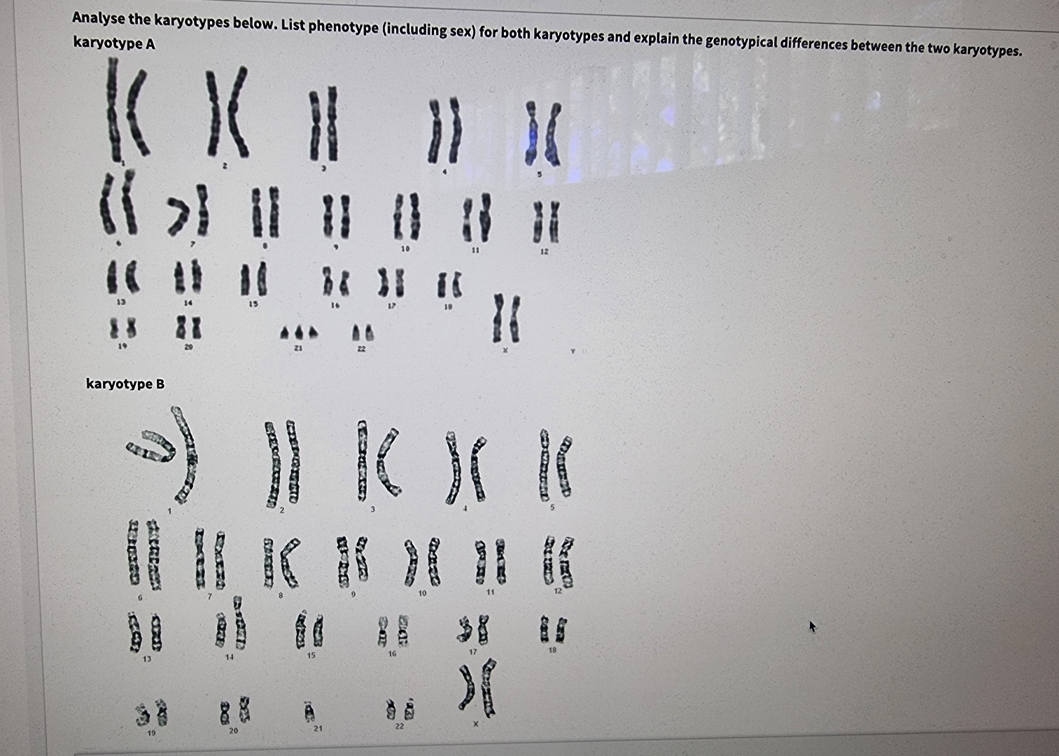 Solved Analyse the karyotypes below. List phenotype | Chegg.com
