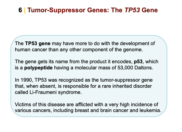 [Solved]: The TP53 gene may have more to do with the develo