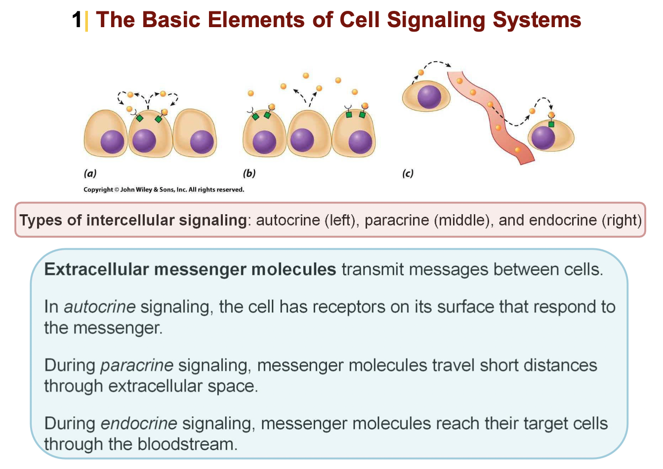 Solved Extracellular messenger molecules transmit messages | Chegg.com