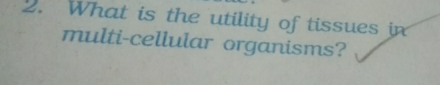 Solved What is the utility of tissues in multi-cellular | Chegg.com
