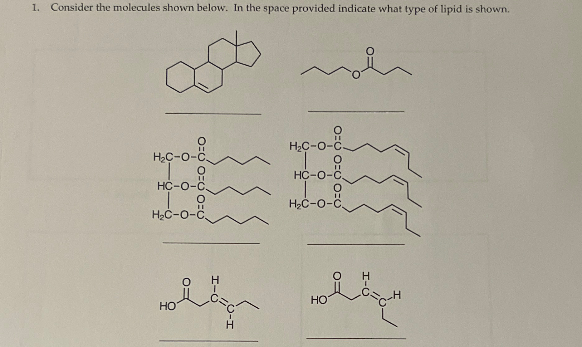 Solved Consider the molecules shown below. In the space | Chegg.com